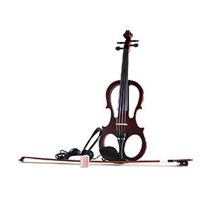 Strumenti ad Arco - Sunburst Guitars Genova